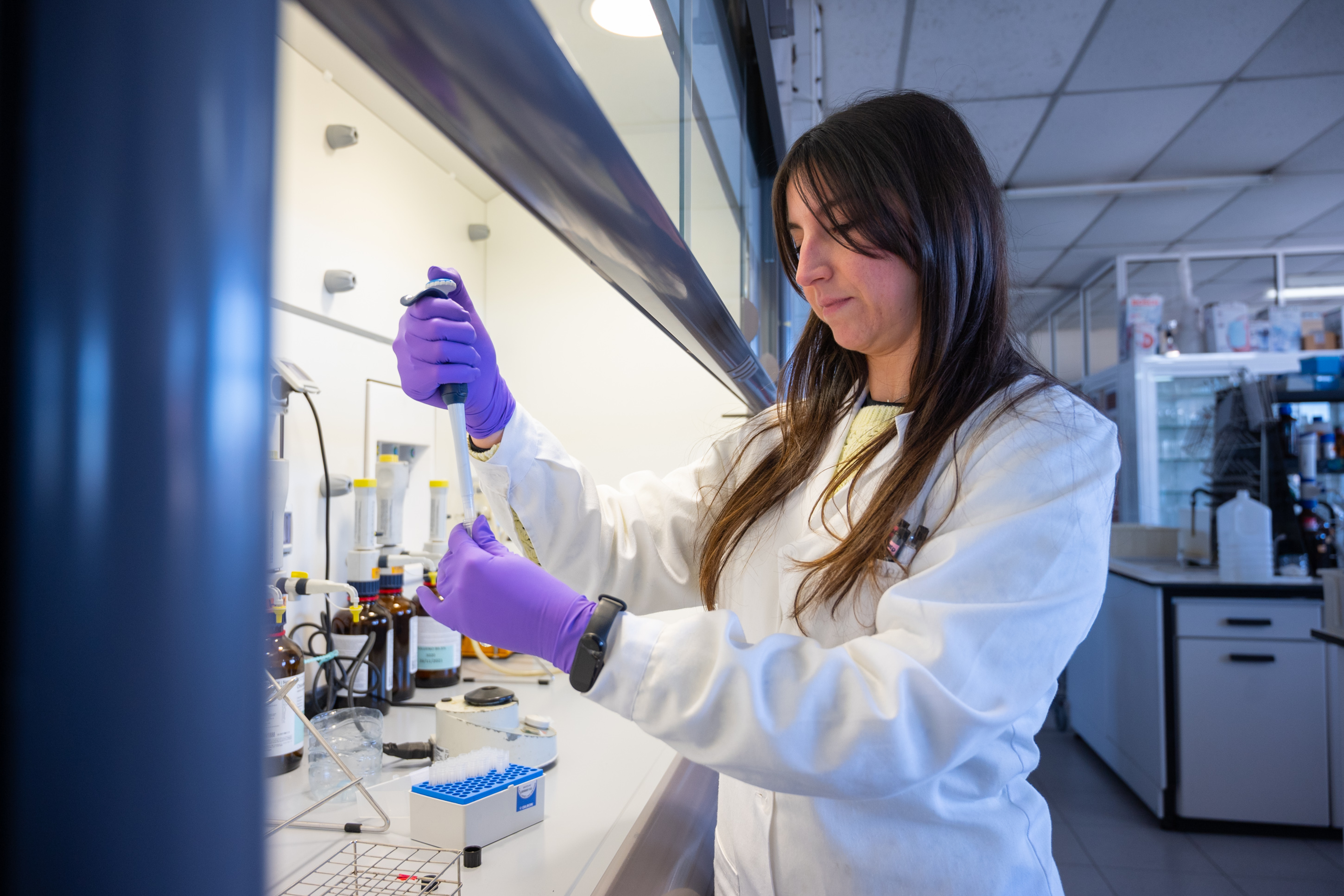 El cuarto concurso ‘Yo Investigo. Yo Soy CSIC’ premia los vídeos divulgativos de 13 jóvenes ...